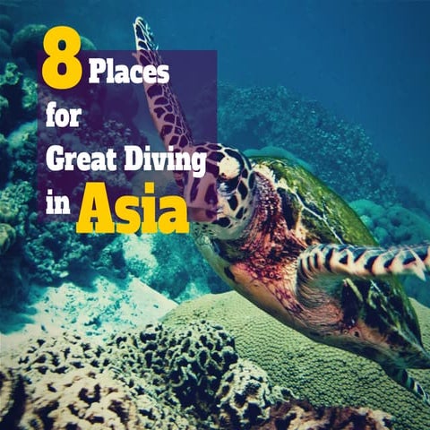 Thailand’s Aquatic Tapestry: Diving into the Deep | PDF