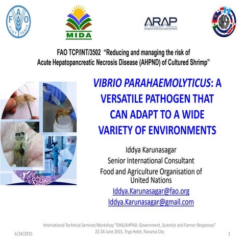 Presentation 8: Vibrio parahaemolyticus: a versatile pathogen that can ...