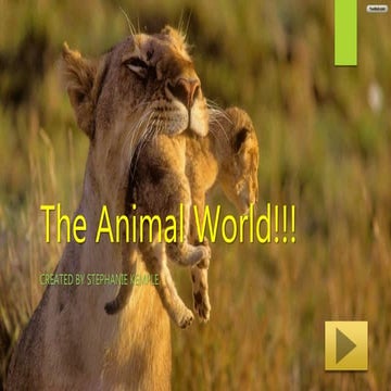 The animal world!!! | PPT
