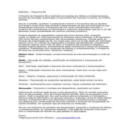 Programa 8S - Consultec Jr | PDF