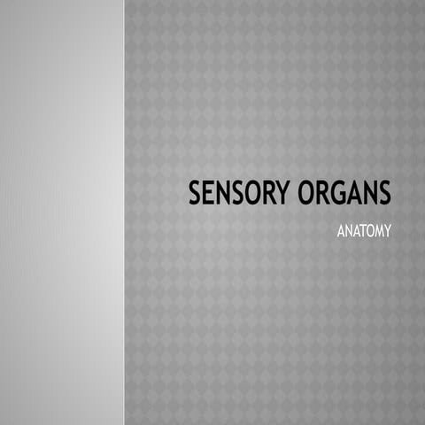 8 SENSORY ORGAN.pptx ne w new nenwjwjueueue | PPTX