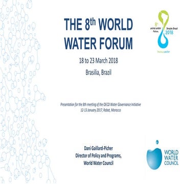 World Water Forum 2012 | PPT