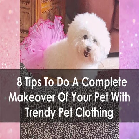 8 Tips To Do A Complete Makeover Of Your Pet With Trendy Pet Clothing | PDF