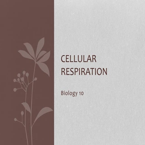 9-1 Cellular Respiration | PPTX