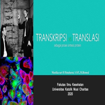 proses Transkripsi_dan_Translasi_DNA.ppt
