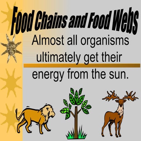 food chains and Relationships | PPT