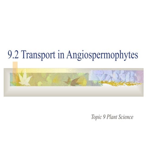Transport in Plants-Vascular System-Xylem and Phloem | PPT
