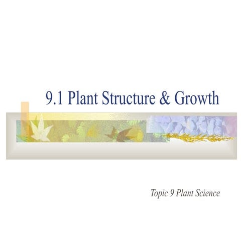 9.1 plant structure & growth | PPT