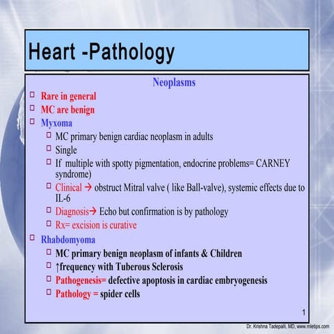 Broad complex tachycardia | PPSX