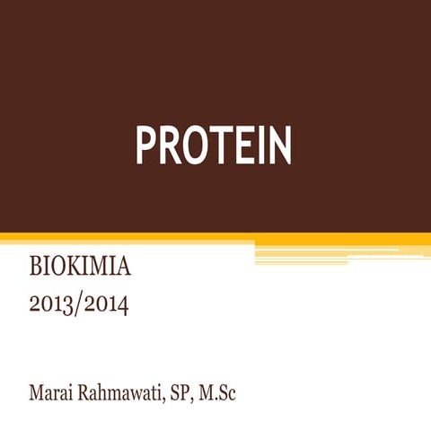 Protein | PDF
