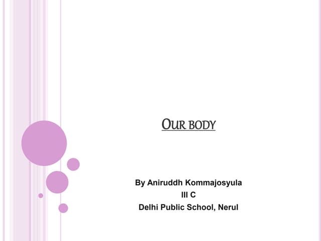 Human Body Systems PPT | PPT