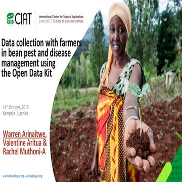 Data collection with farmers in bean pest and disease management using ...