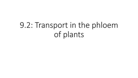 Transport in plants 7 translocation of assimilates | PPT | Chemistry ...