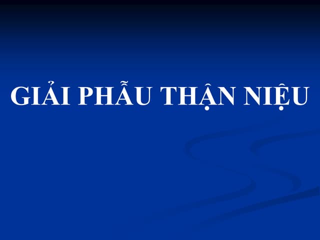 Giai phau he sinh duc | PPT
