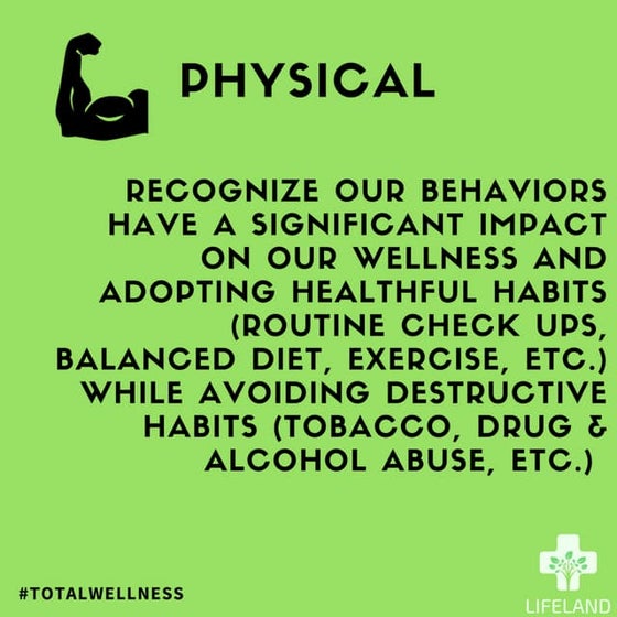 The Seven Dimensions of Wellness | PDF