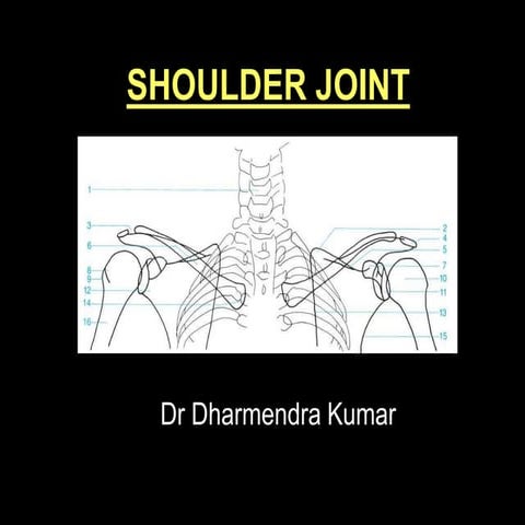 Shoulder Joint Anatomy
