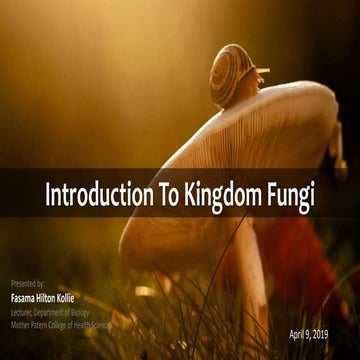 9. introduction to kingdom fungi | PPTX