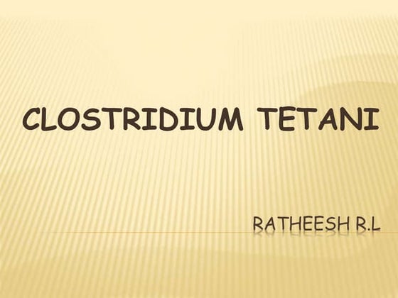 Clostridium tetani | PPT
