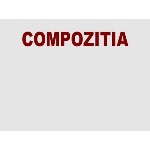 9.compozitia. centrul de interes. proportiile | PPTX