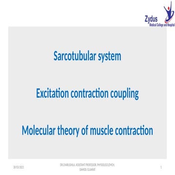 Sarcotubular system, Excitation contraction coupling, Molecular theory ...