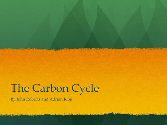 Carbon cycle | PPTX | Chemistry | Science