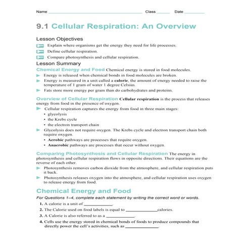 9.1 Cellular Respiration_ An Overview.pdf