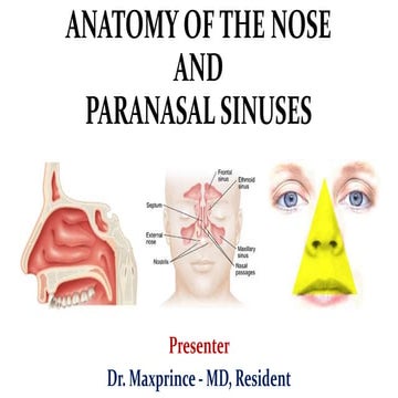 9. Anatomy of the Nose and Paranasal sinuses, Dr. Maxprince.pptx
