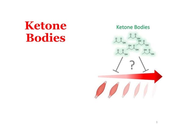 Ketone bodies | PPTX