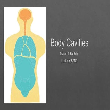 Body Cavities 11111234564656456456 .pptx