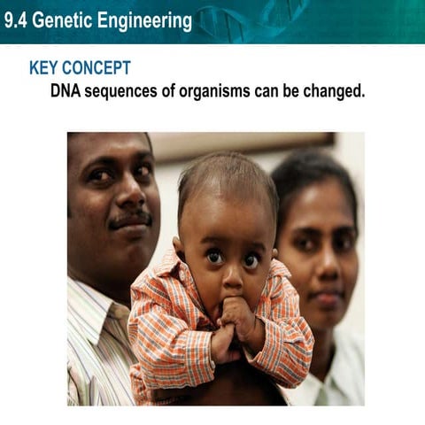 Genetic Engineering.ppt and application of genetics | PPT