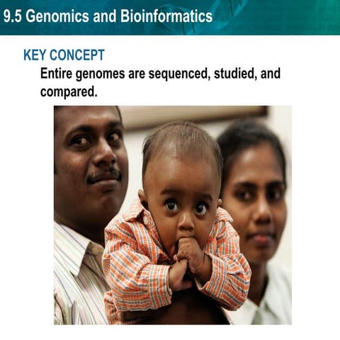 Genomics and Bioinformatics basics from genome to phenome | PPT