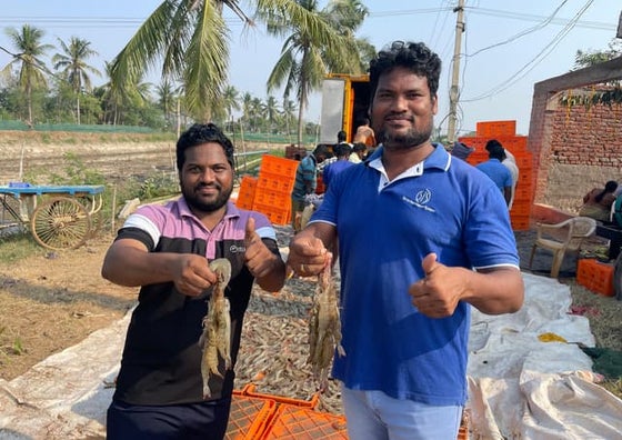 Reviewer jetir certificate for researchers | PPT