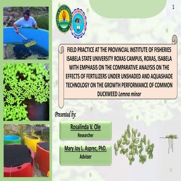 Duckweed Lab Report | DOCX