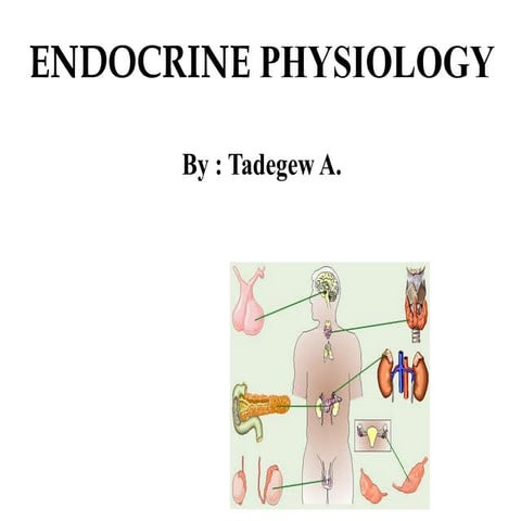 9. Endocrine system Physiology- class.pdf