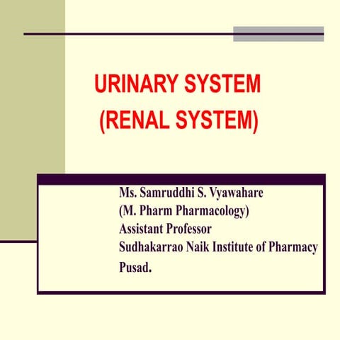 9. Urinary system or Renal System parts & its function | PPTX
