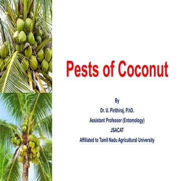Pests of Coconut_Identification_IPM_Dr.UPR.pdf