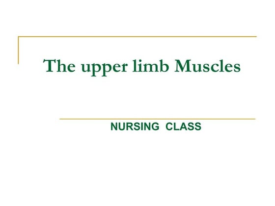 Muscles of the upper limb | PDF