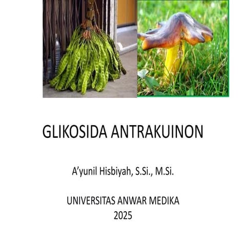 Kelompok 2 Glikosida bagian 1 08-04-23.pptx