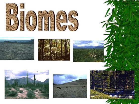 Ecosystems and biomes | PPTX