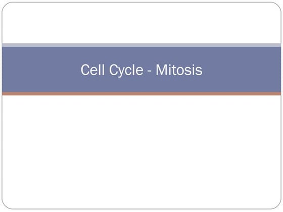 Mitosis | PPT