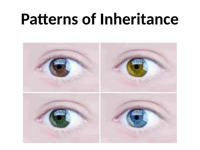 Mendelian inheritance | PDF