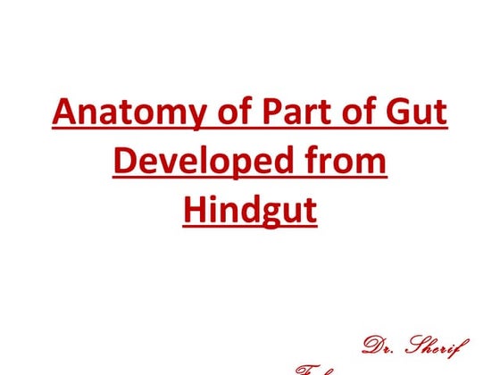 Development of Midgut & Hindgut | PPT