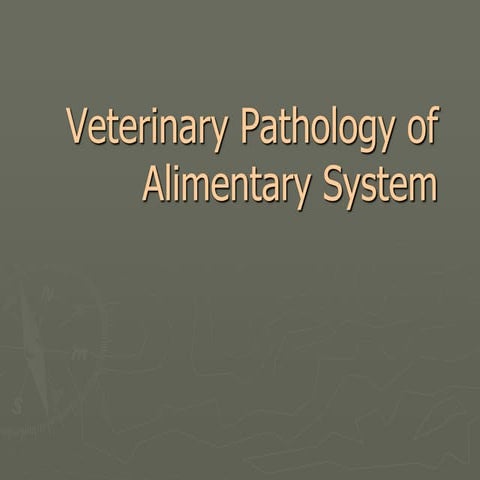 Veterinary Anatomy of Urinary system and specie difference between ...