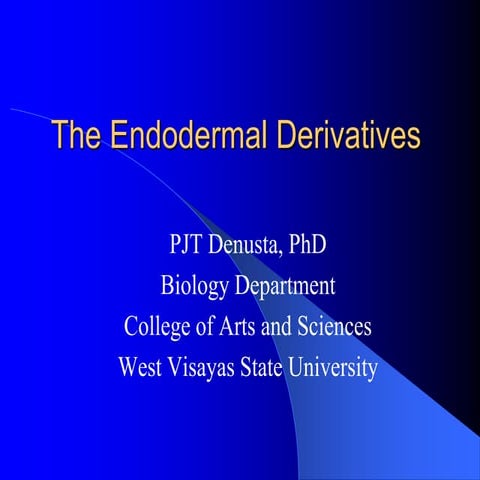 9 - Endodermal derivatives-53.ppt