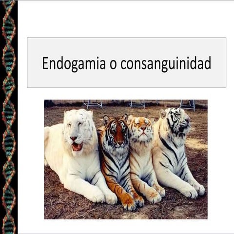 9 endogamia | PPTX