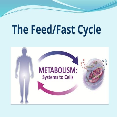 FEED FAST CYCLE DETAILS. METABOLISM IN WEL FED AND FASTING STATE | PPTX