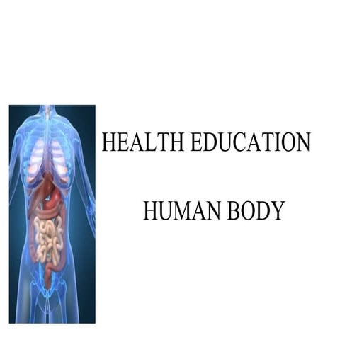 9. human body | PPT