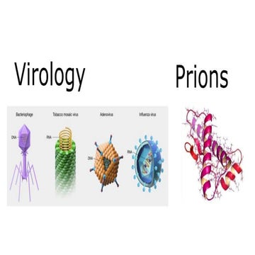 9- Introduction to Virology and Prions.pptx