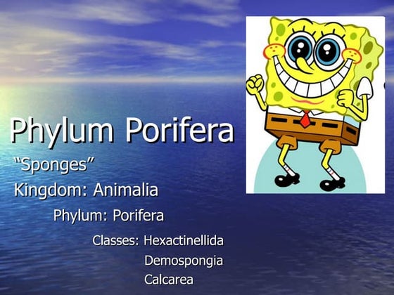 Protozoa | PPT