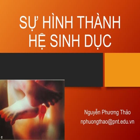 9-su hinh thanh he sinh duc 2022-2023.pptx